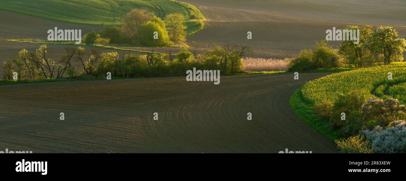 Panoramic view of green,organic farmland dotted with spit of land ...