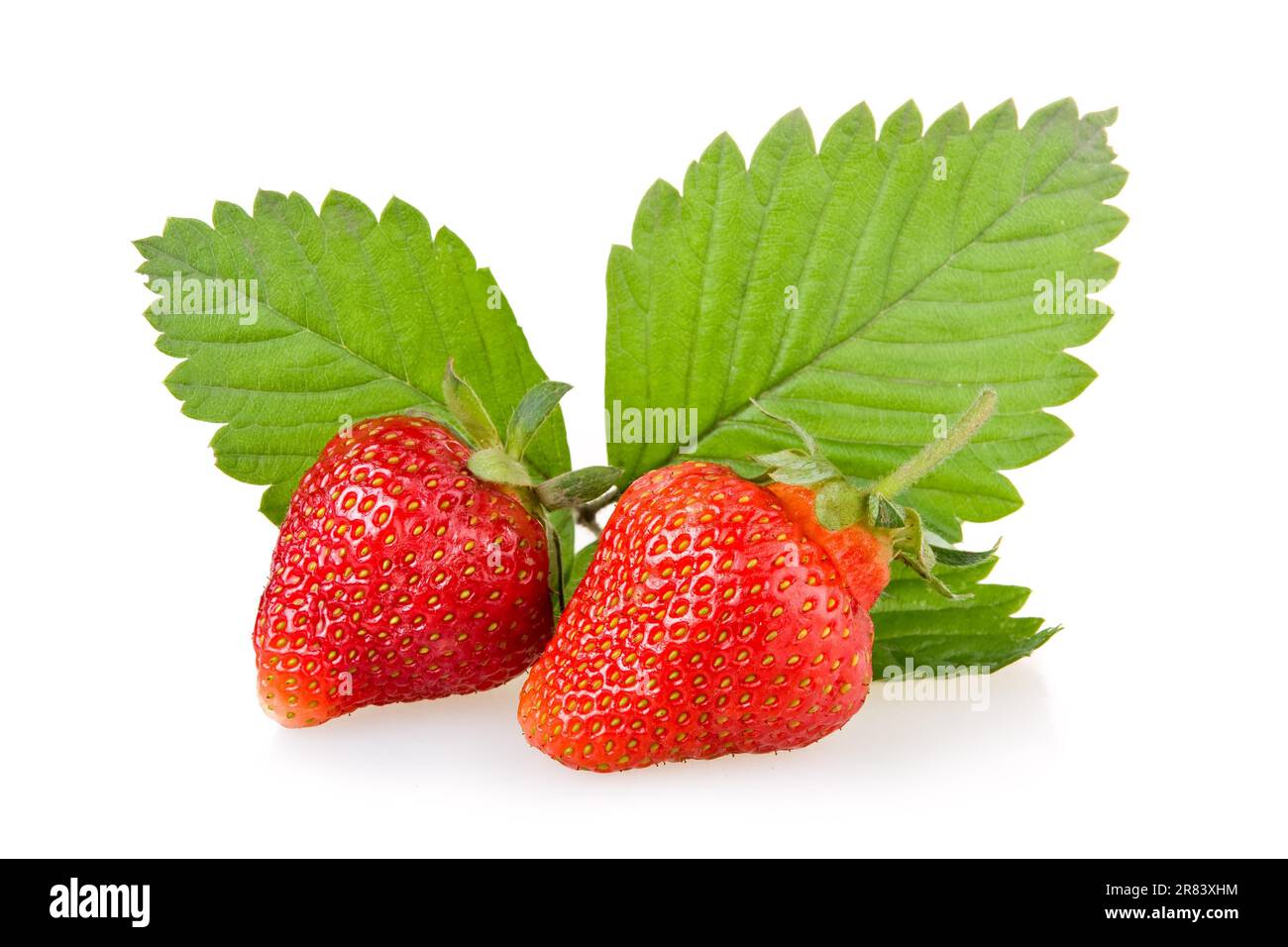 Red strawberry fruits with green leaves isolated on white background ...