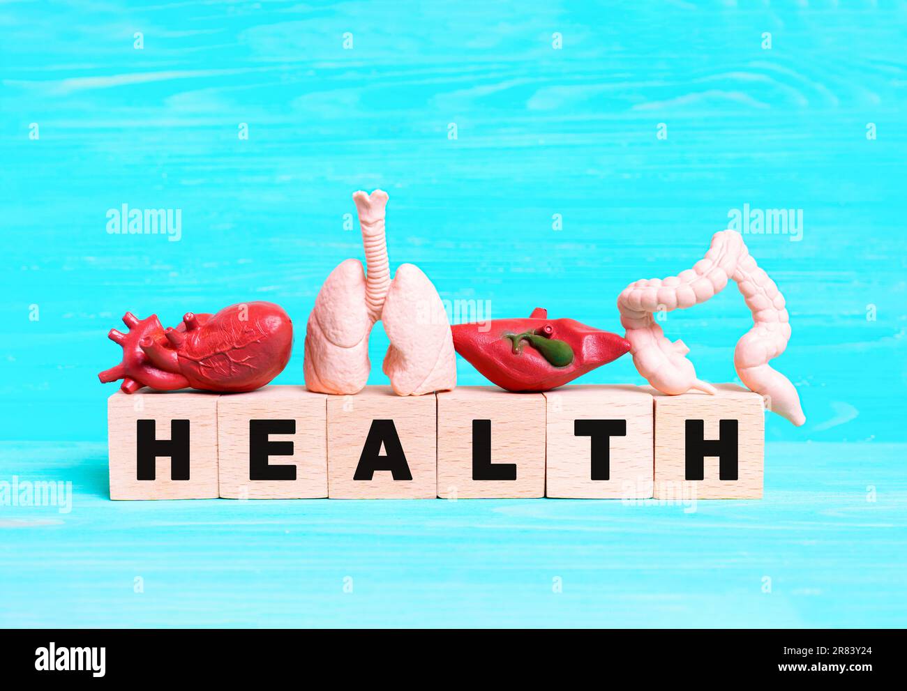 Kidney disease blocks hi-res stock photography and images - Alamy