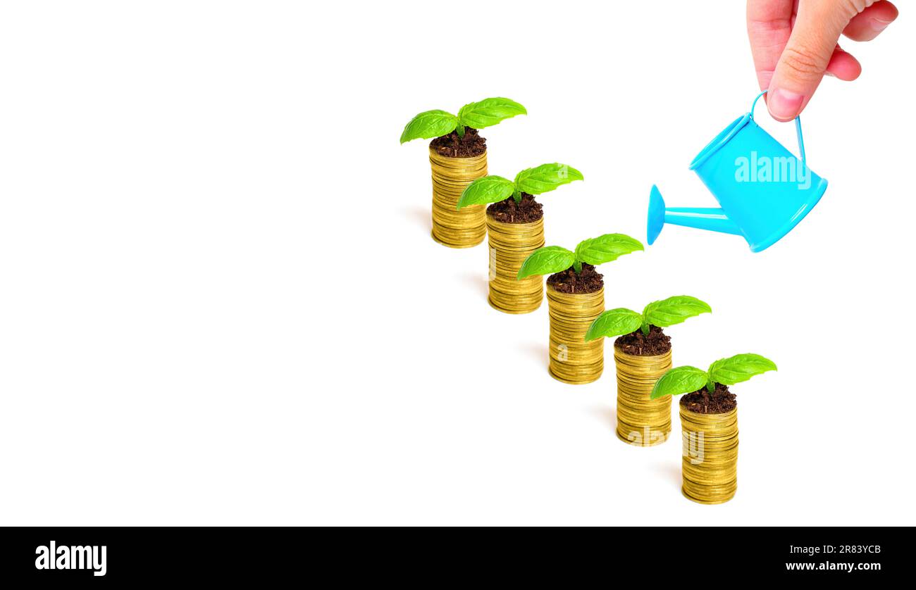 Hand using a miniature gardening can to water a group of coin stacks ...