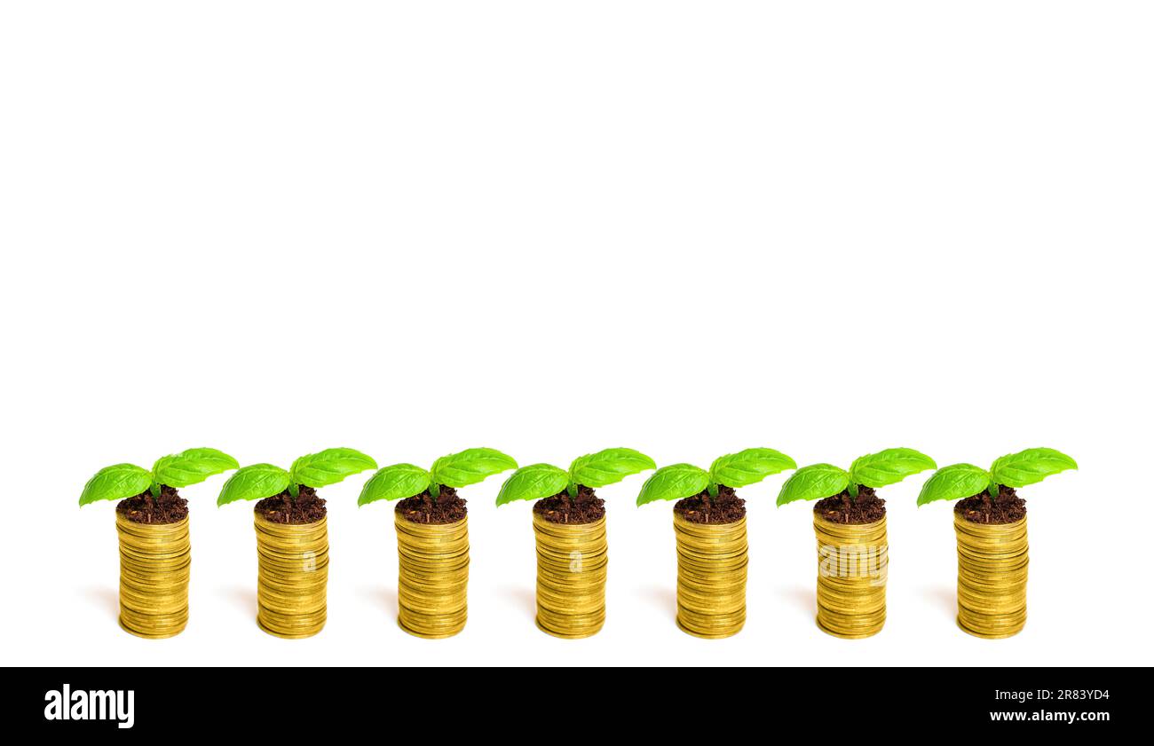 A row of seven coin stacks, each adorned with fresh seedlings isolated ...