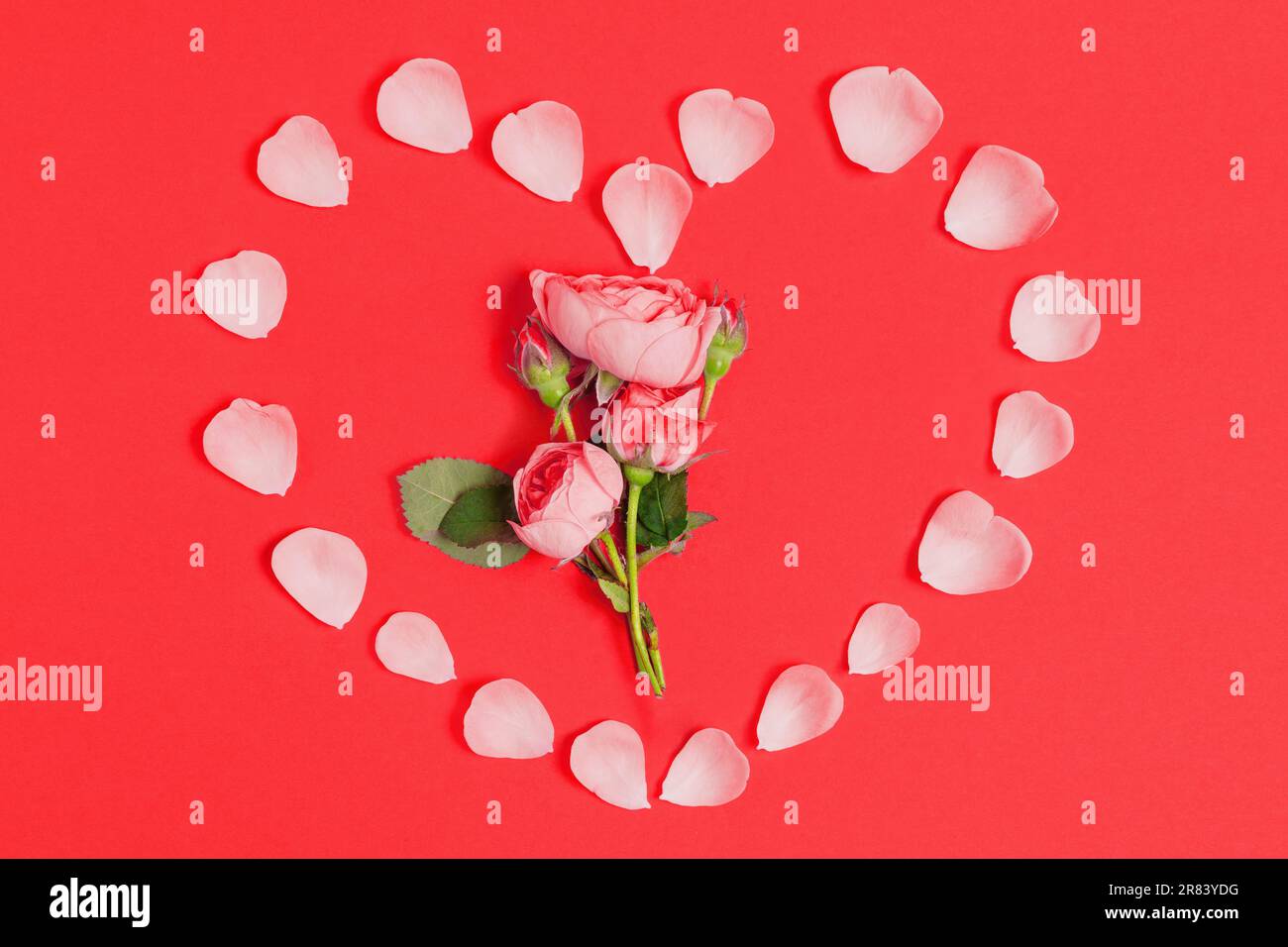 Heart-shaped arrangement made from delicate rose petals with a blooming ...