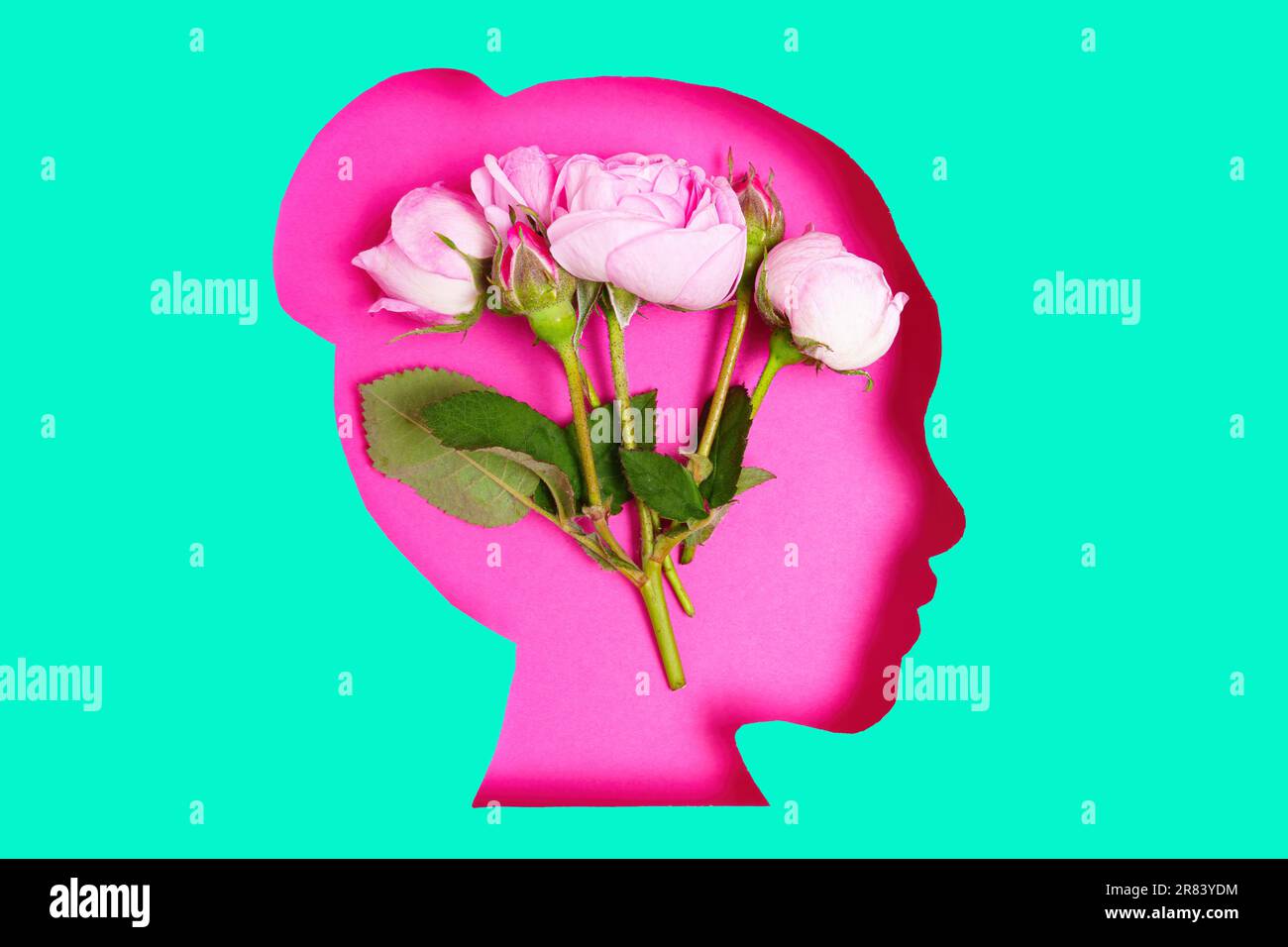 Fresh cut roses on a pink backdrop seen through a female face shaped ...