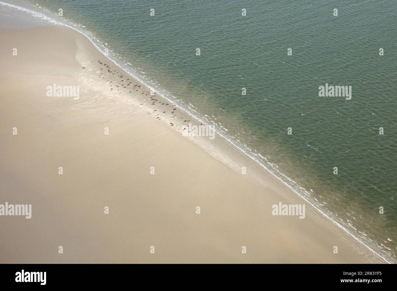 Island of Juist Germany. Insel Juist, Wattenmeer der Nordsee Stock ...