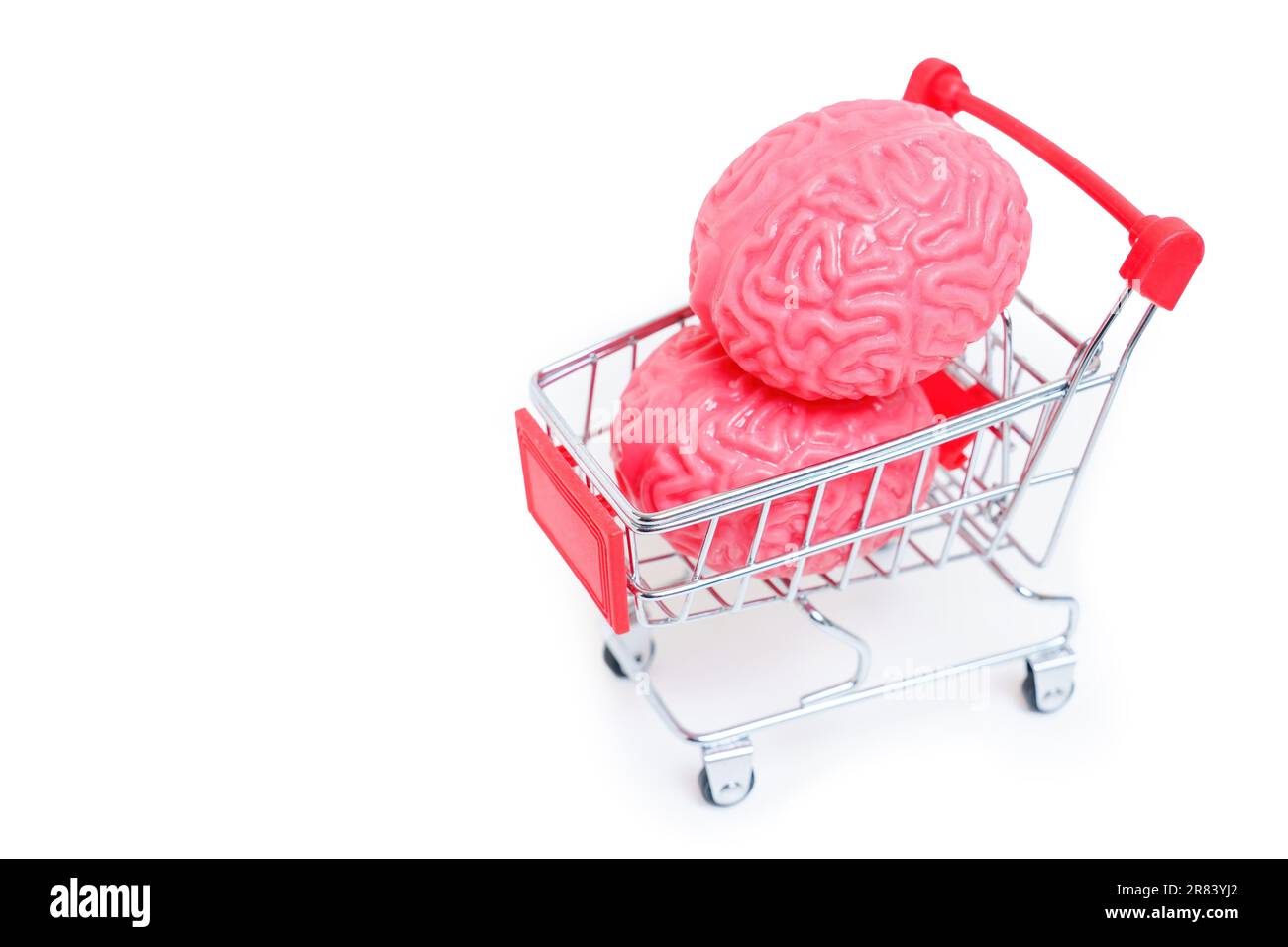 Two anatomical models of a human brain placed in a shopping trolley ...
