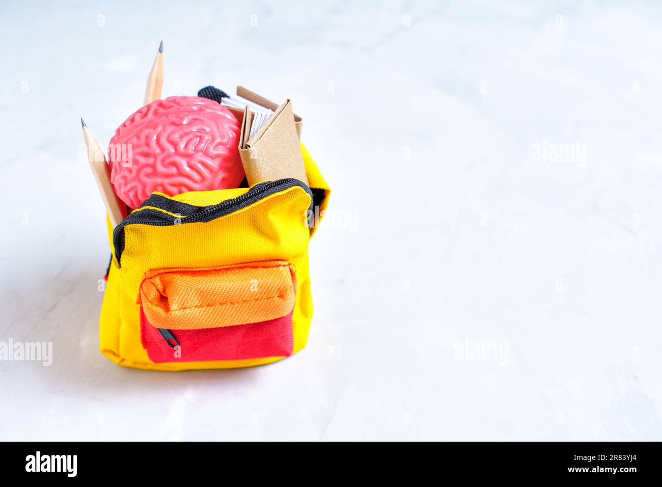Close-up view of a human brain model, books and pencils placed inside ...