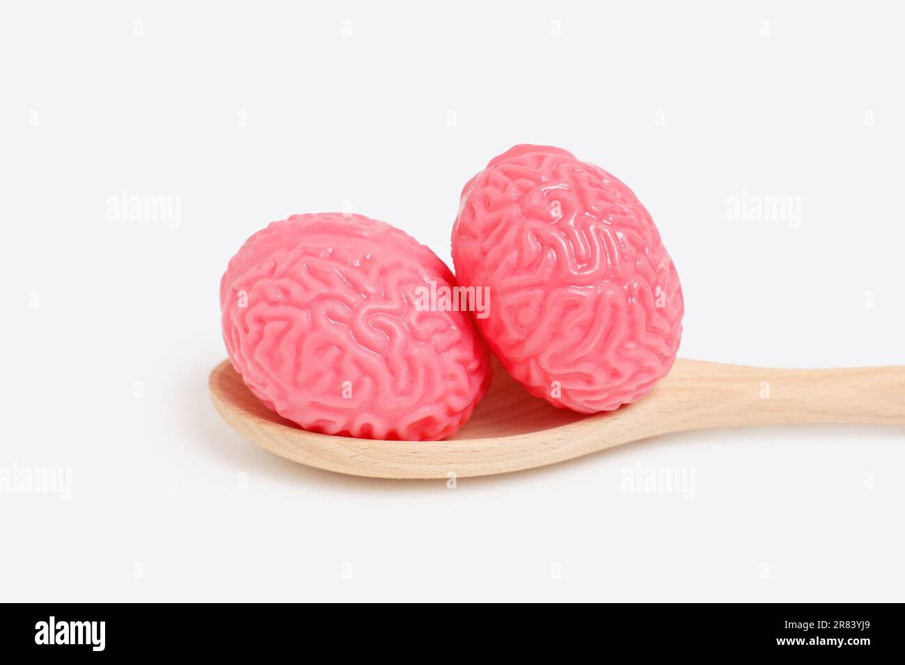 Close-up view of two detailed human brain models placed on a large ...