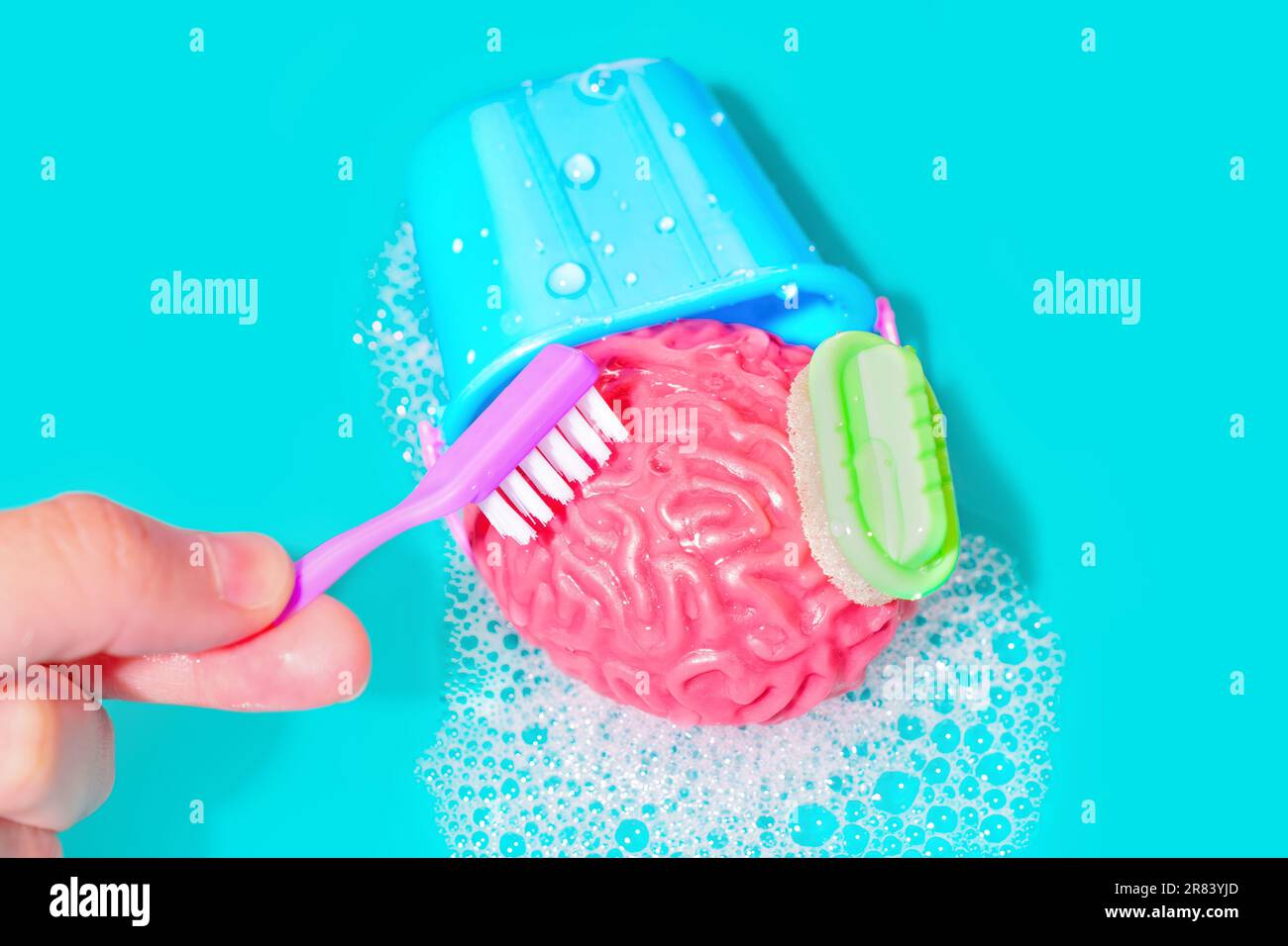 Close-up view of a hand using a toy brush to clean a human brain model ...