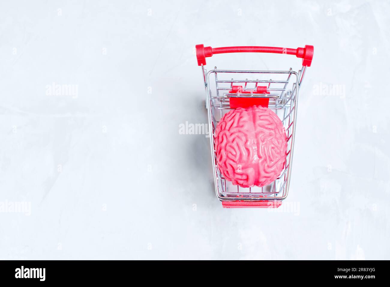Top-down view of an anatomical model of human brain set in a push cart ...