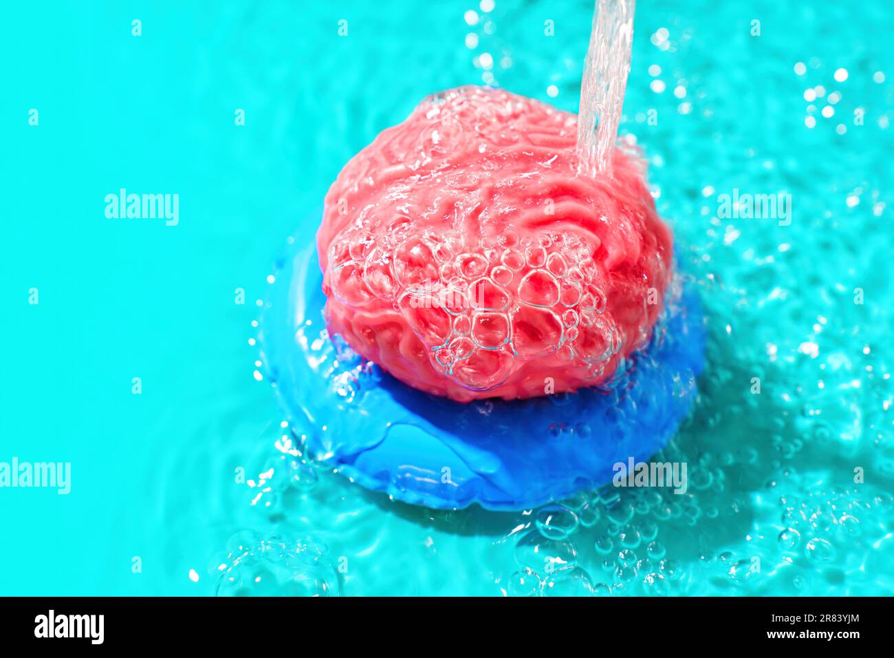 Toy human brain model floats on an inflatable tube under a water stream ...