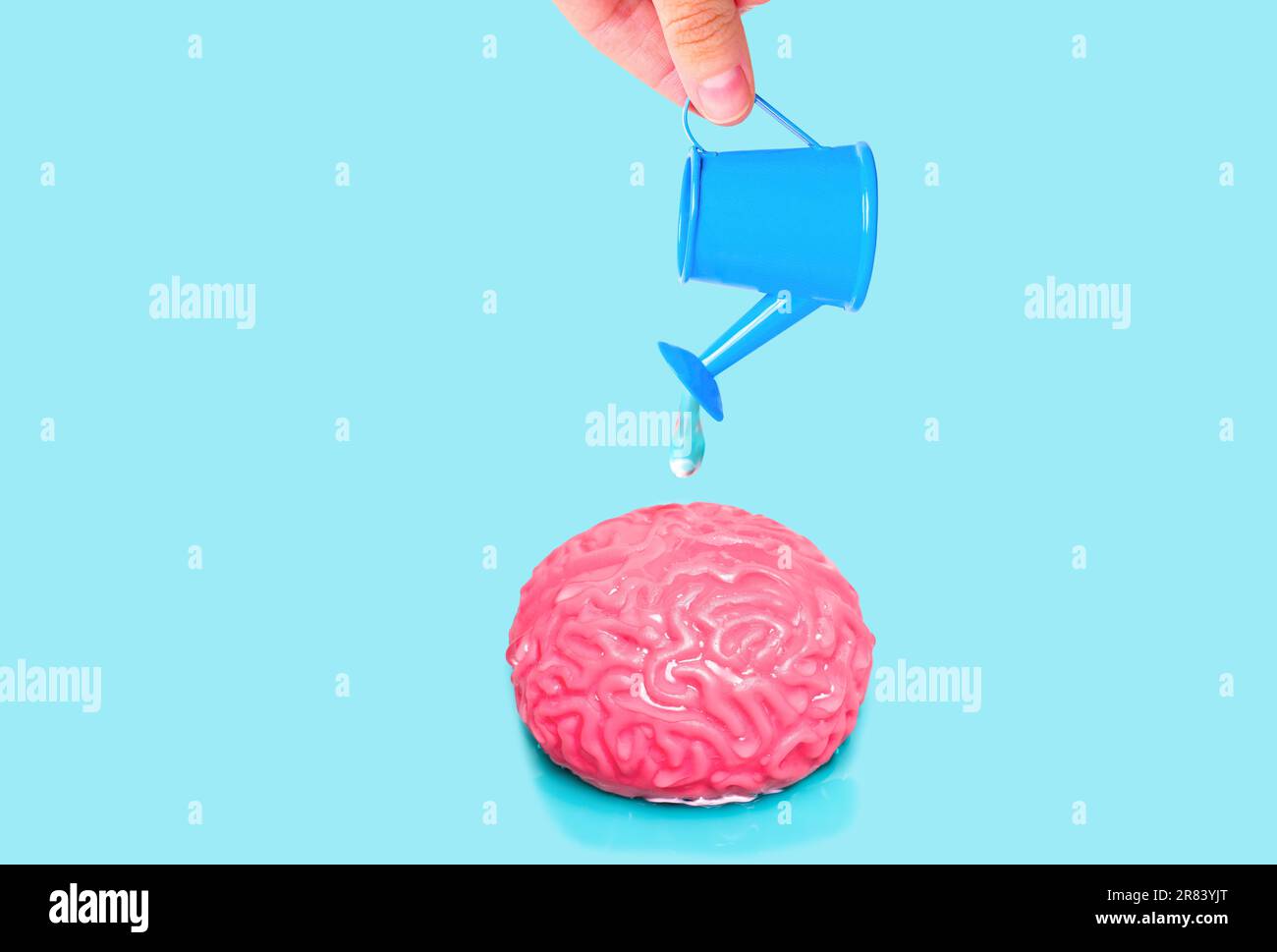 Toy human brain model being watered with a tiny blue watering can. Nurturing of ideas ...