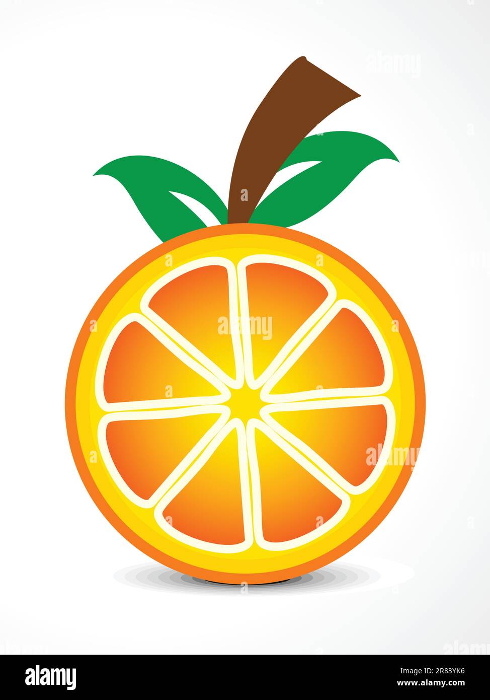 abstract vector orange fruit vector illustration Stock Vector Image ...