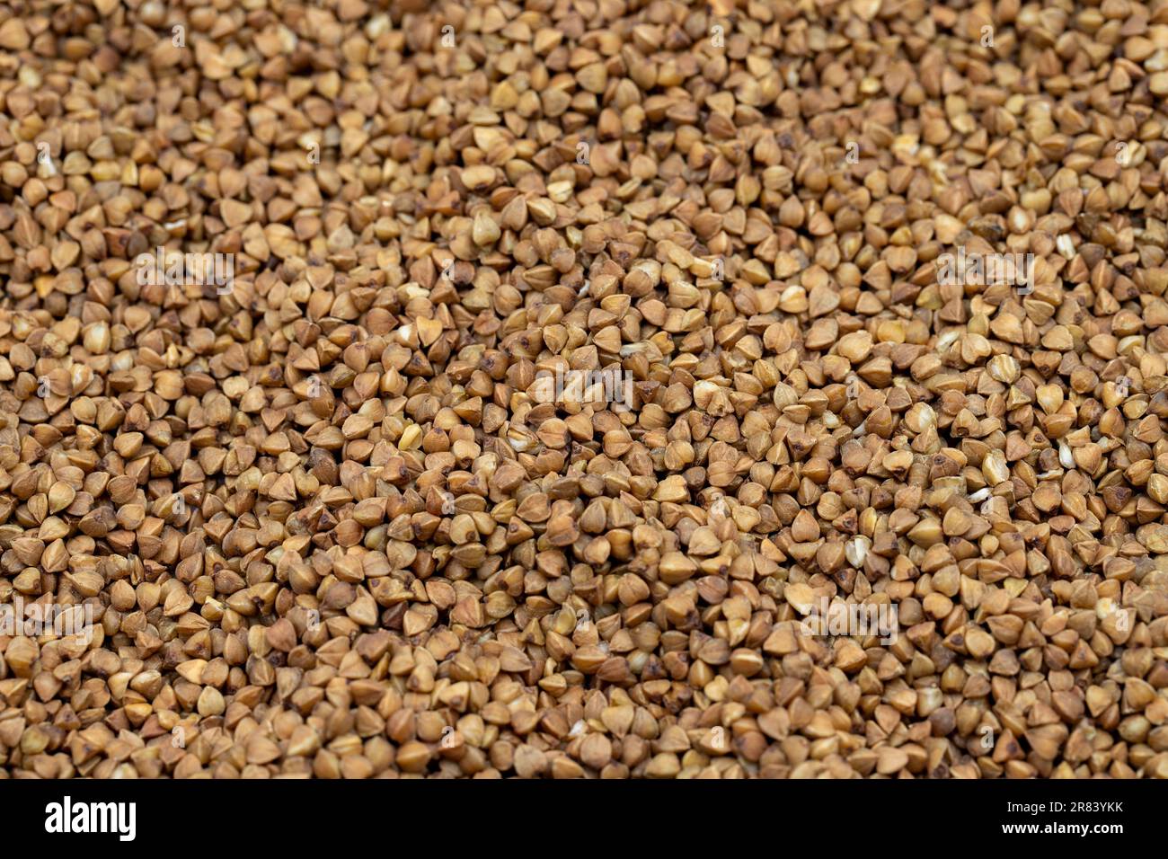 Pile of buckwheat grains as background, spice or seasoning as ...