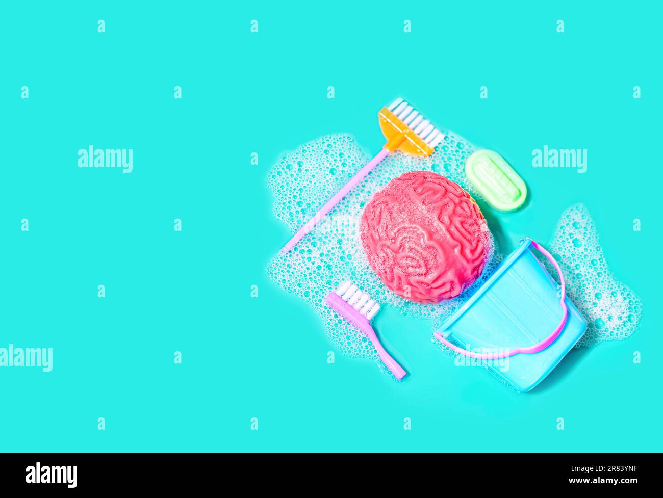 Mental refreshment: Jelly-like human brain model set in soapy water ...