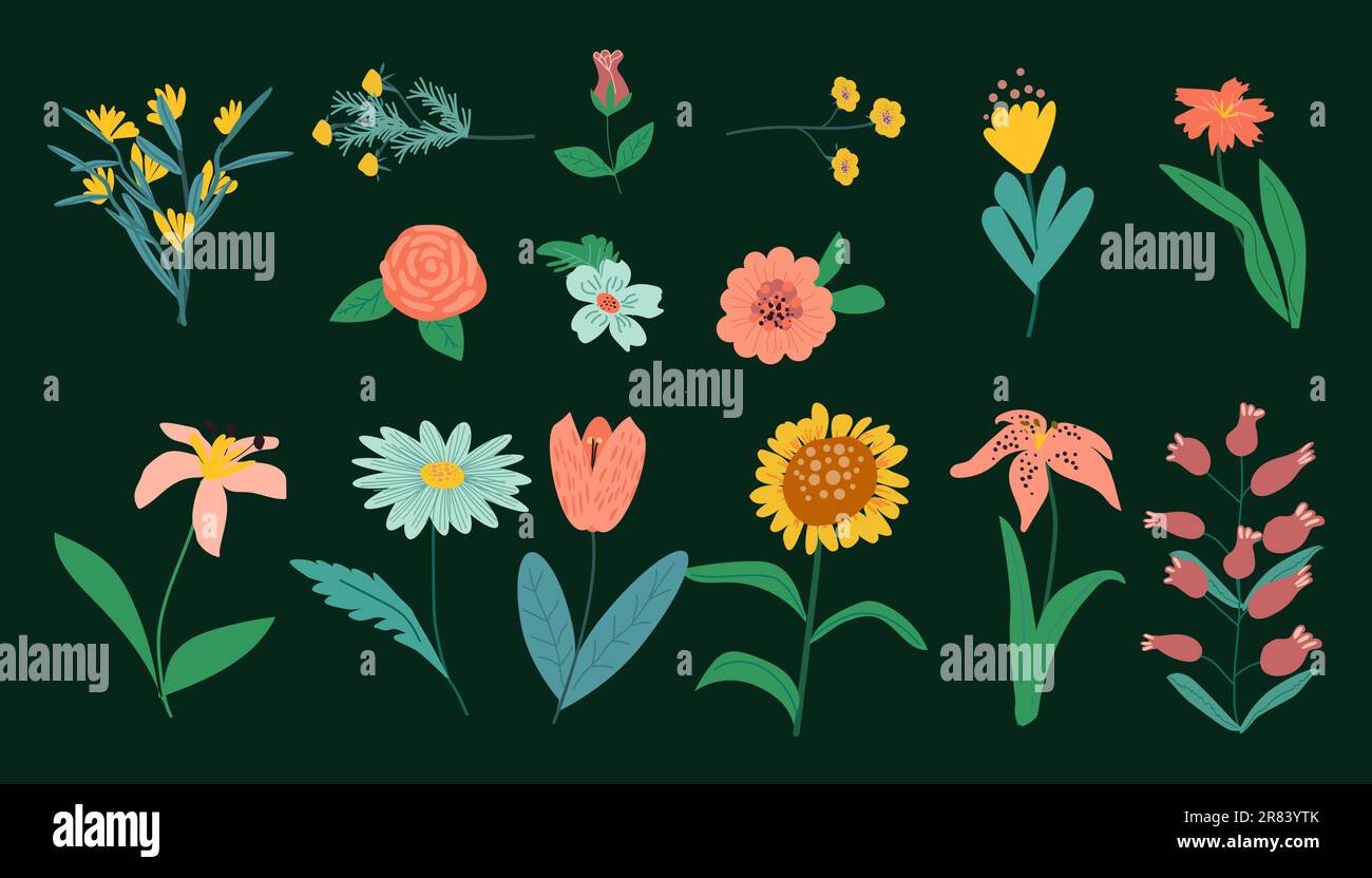 set of hand drawn floral elements in a folk style Stock Vector Image ...