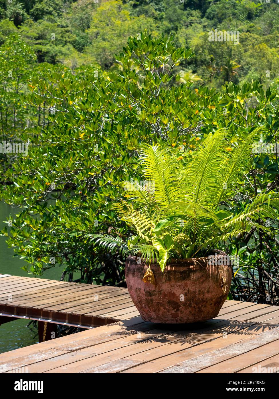 Pot house bridge hi-res stock photography and images - Alamy