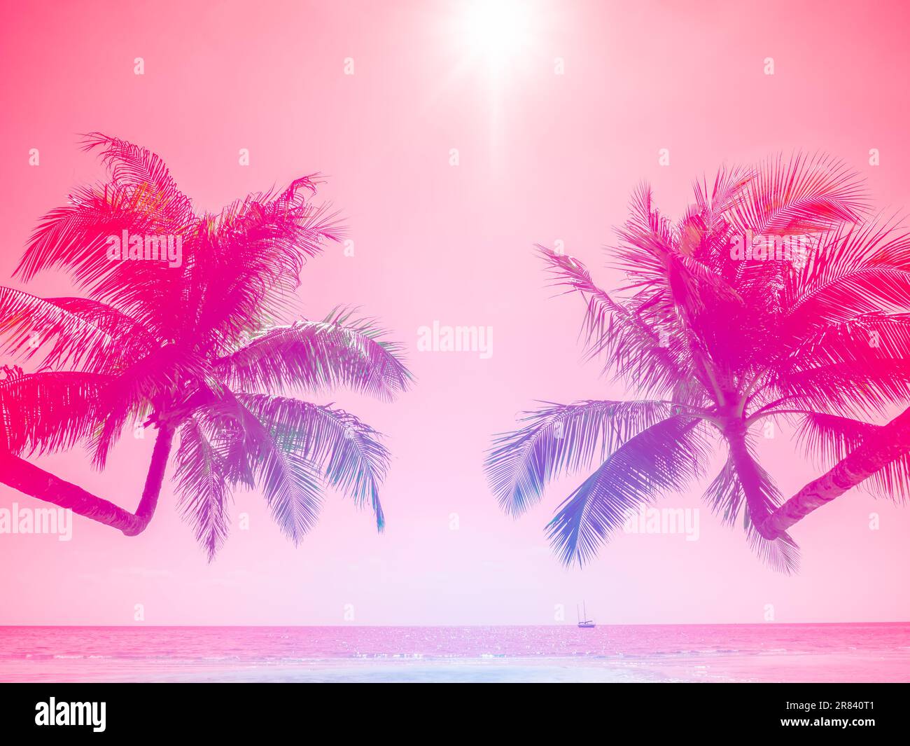 Couple coconut palm trees on summer colorful sky. Beautiful tropical ...