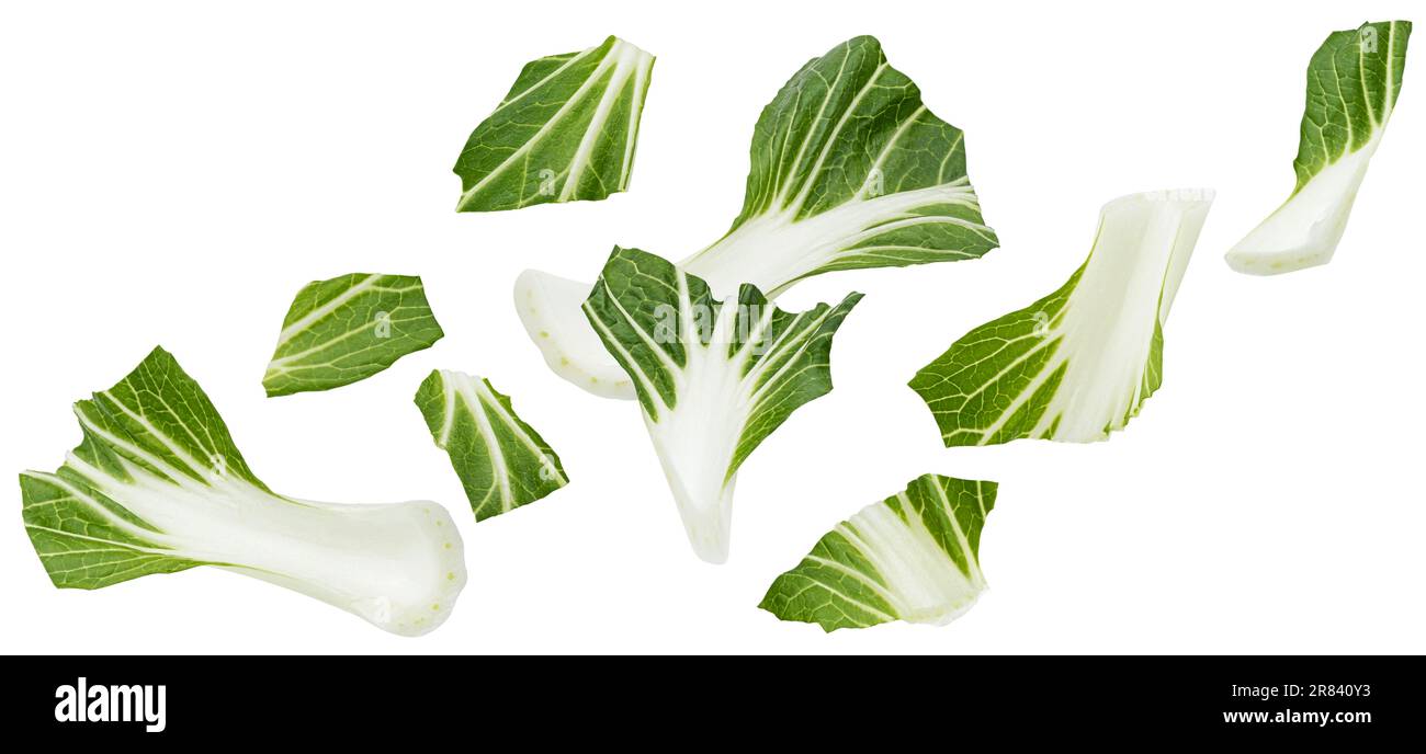 Bok Choy isolated on white background, chopped Chinese cabbage Stock ...