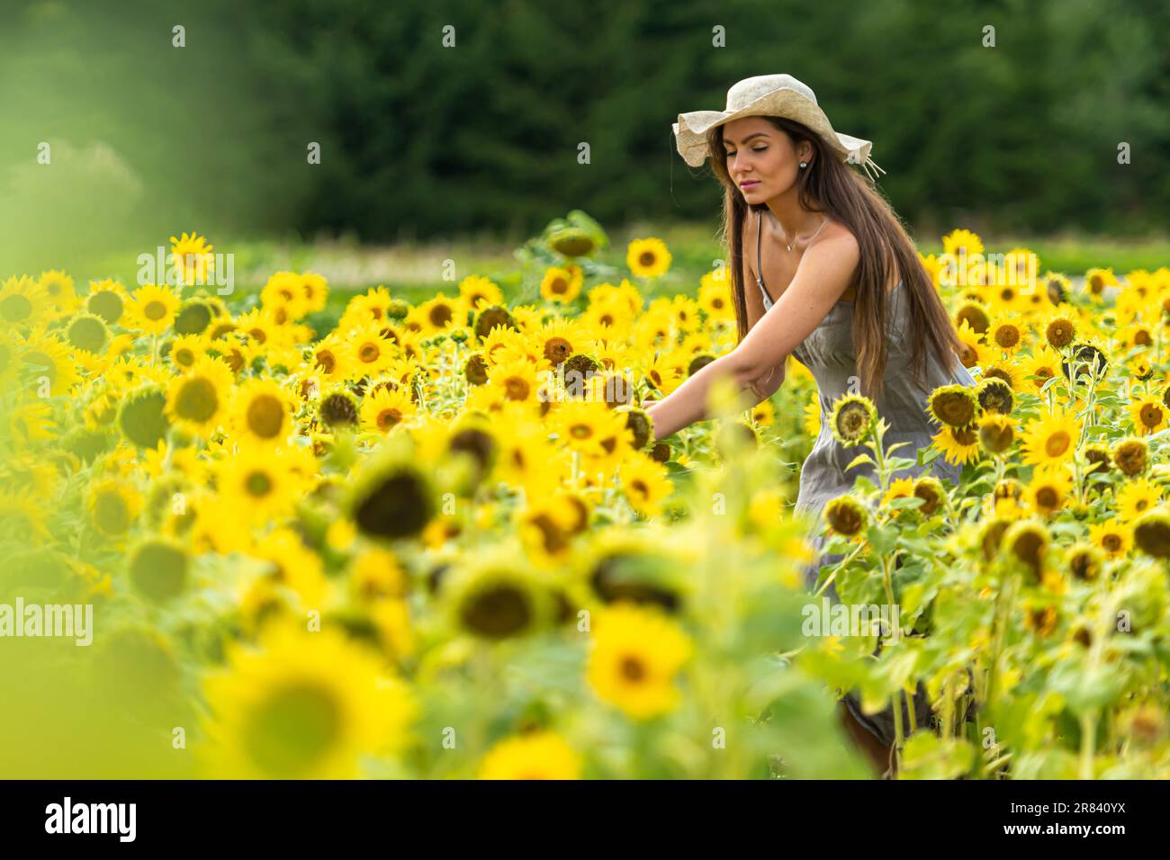 beautiful young woman in straw hat and linean country style dress walks ...