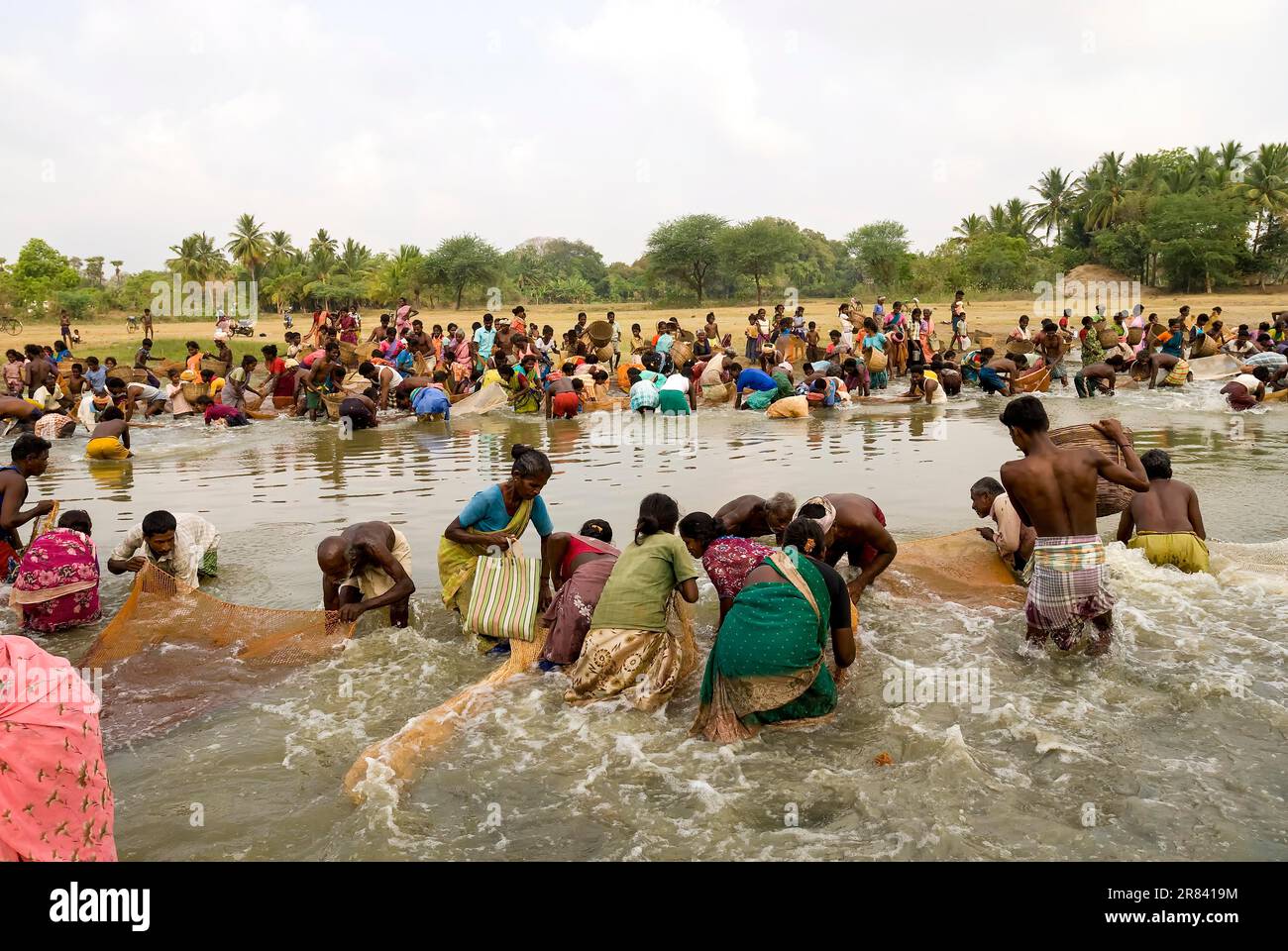 Fishing festival at Venthanpatti near Ponnamaravathy, Pudukkottai ...