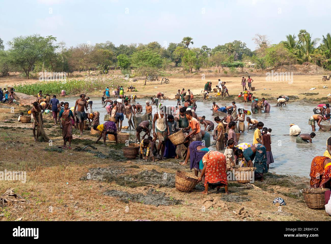 Fishing festival at Venthanpatti near Ponnamaravathy, Pudukkottai ...