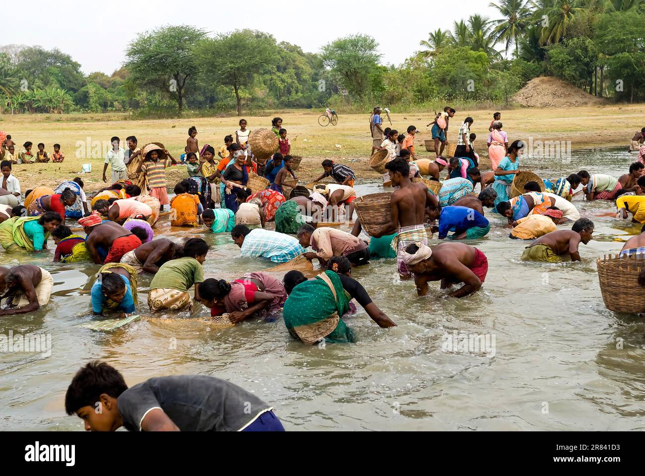 Fishing festival at Venthanpatti near Ponnamaravathy, Pudukkottai ...