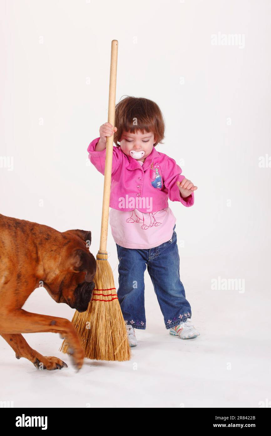 Little Girl and German Boxer, Broom Stock Photo - Alamy