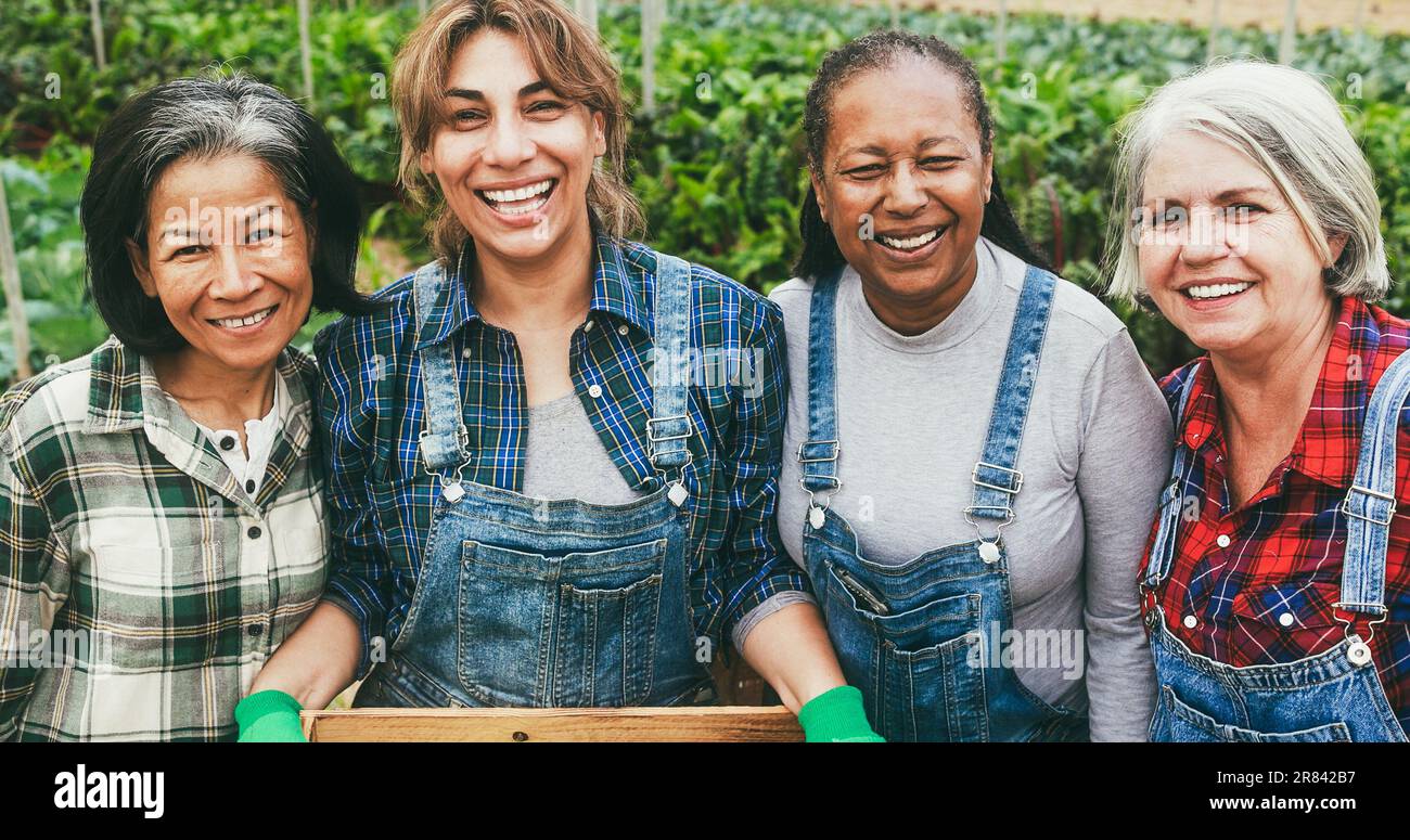 Multiracial senior women smiling in front of camera inside farm - Local ...
