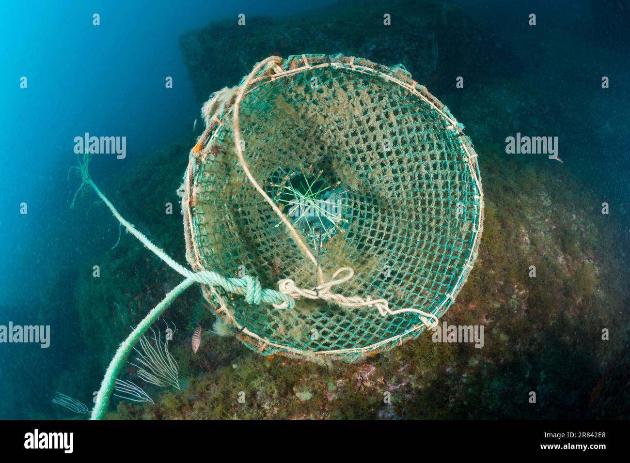Fish trap in reef, Cap de Creus, Costa Brava, fish trap, Spain Stock ...