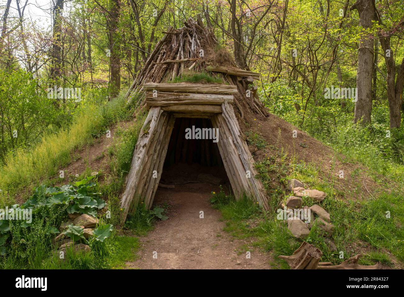 Sweat lodge style rustic hut made of wooden timbers and green sod ...