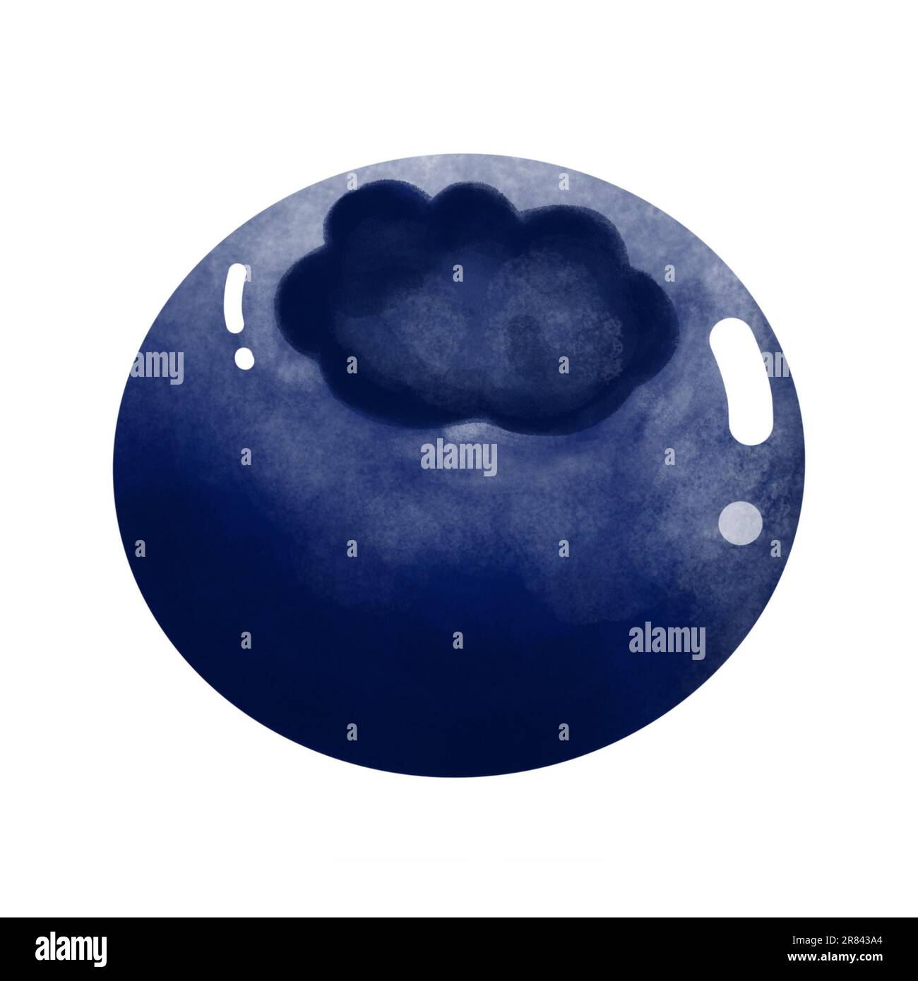 Watercolor blueberry clipart. Hand drawn summer fruit illustration ...