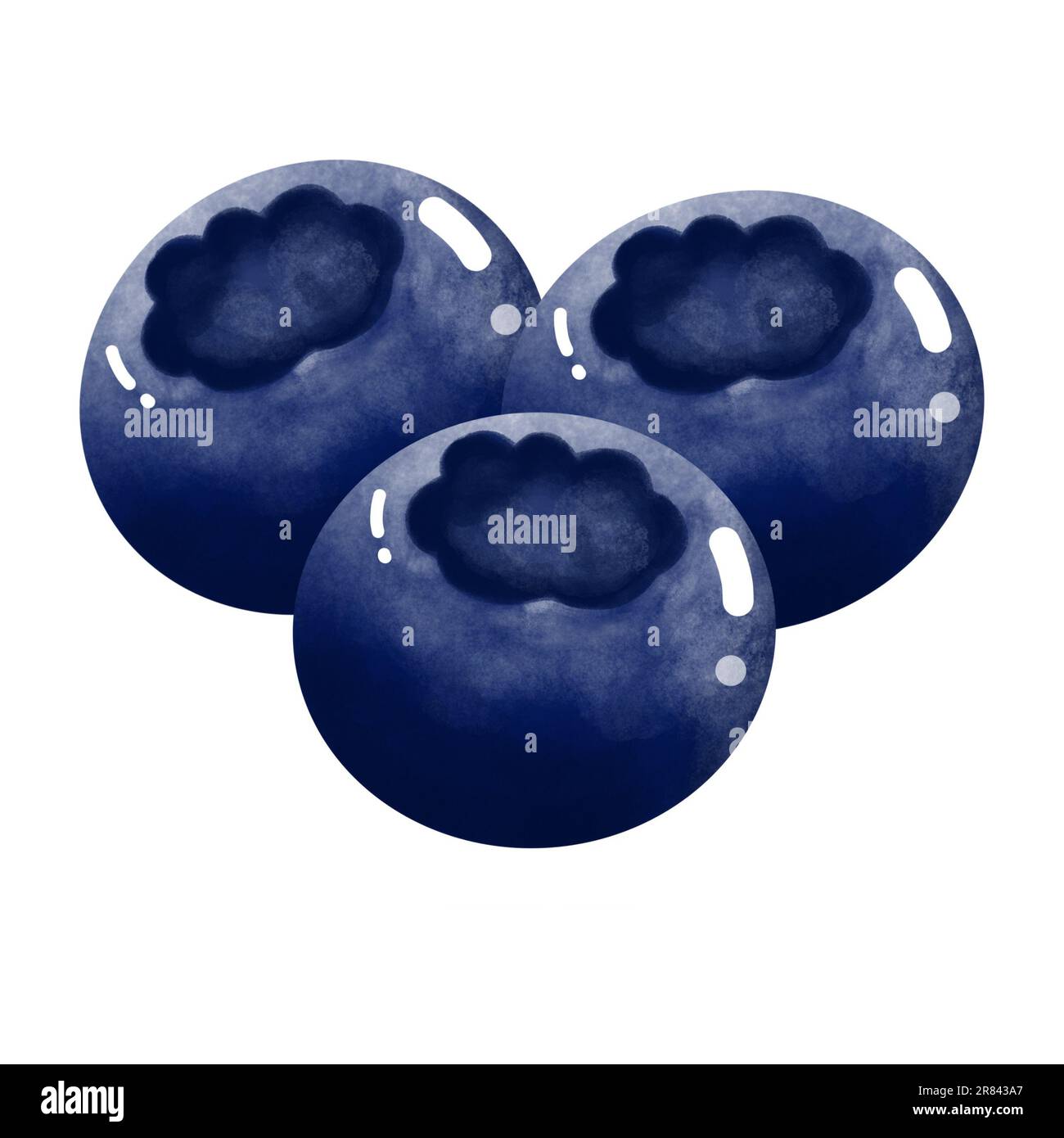 Watercolor blueberries clipart. Hand drawn summer fruit illustration ...