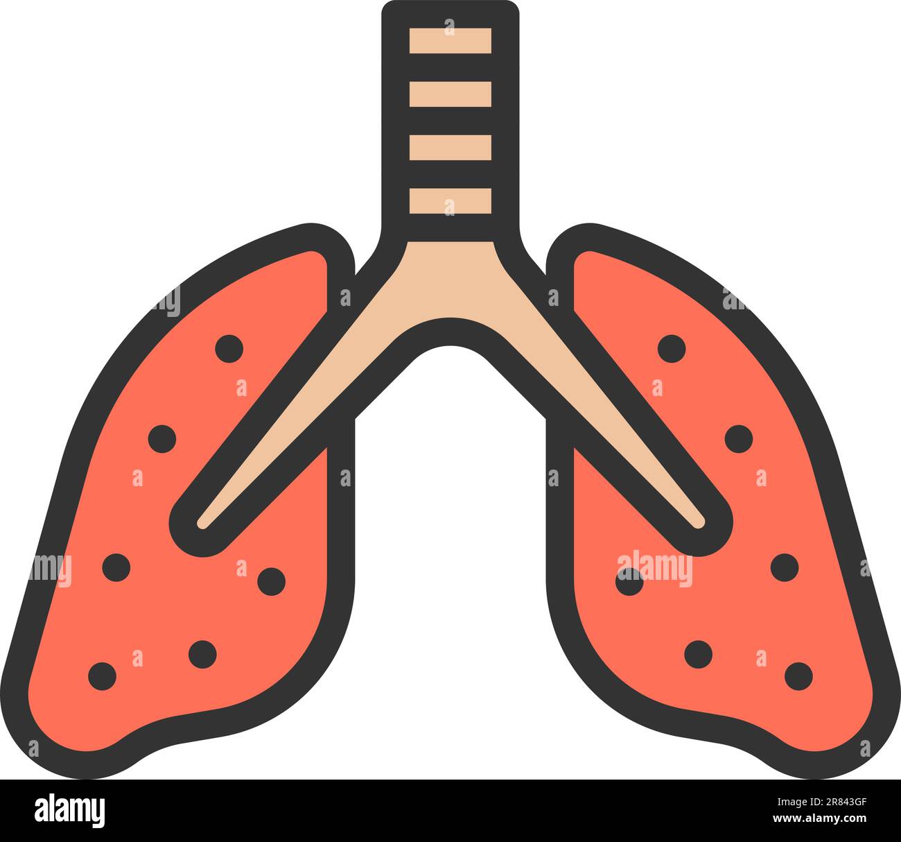 Lungs icon vector image Stock Vector Image & Art - Alamy