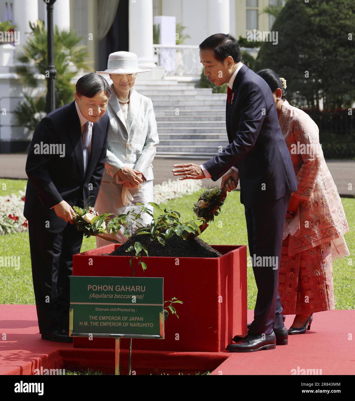 Japanese Emperor Naruhito (L) and Empress Masako (2nd from L ...