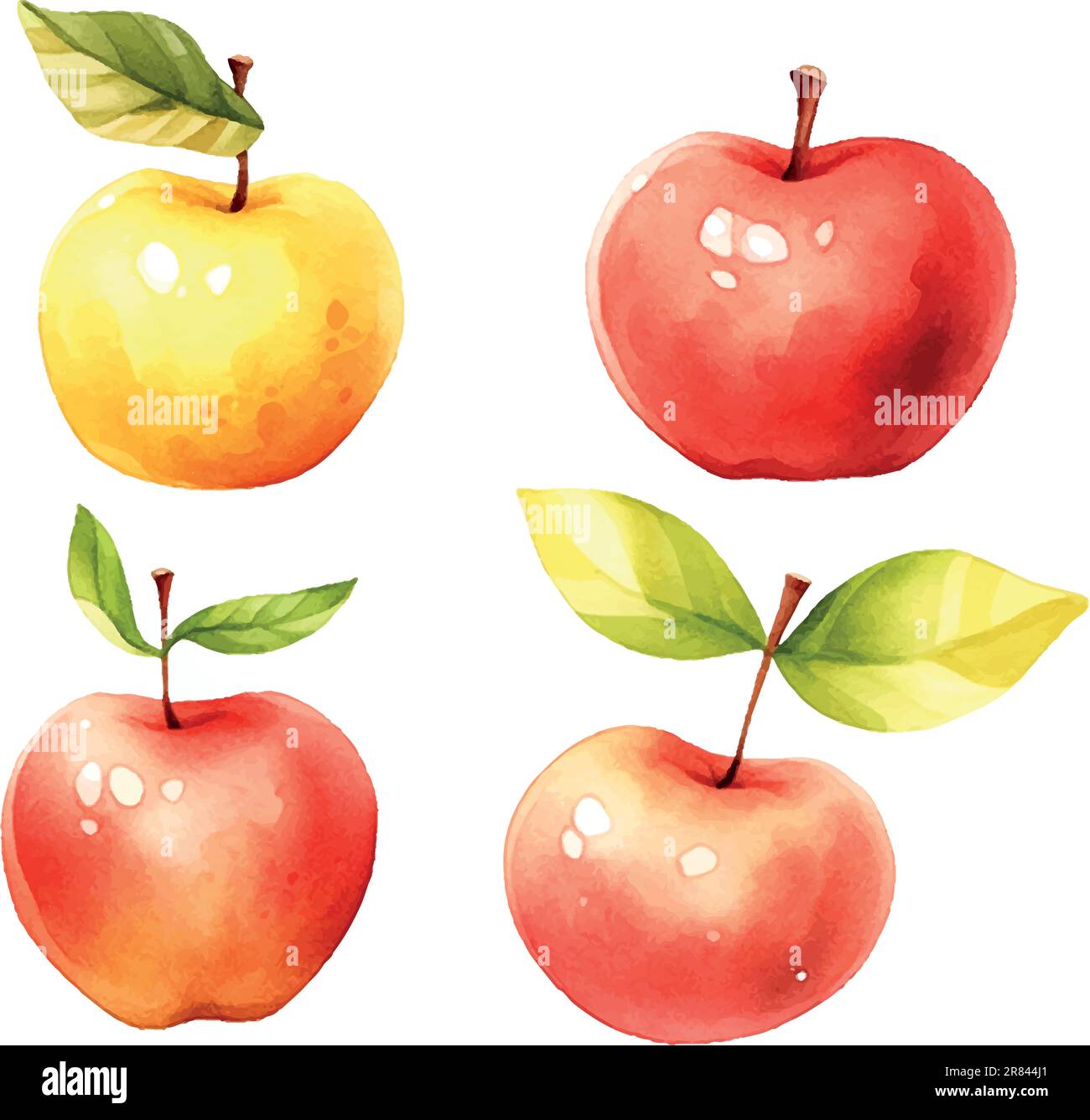 Red apple watercolor in hand drawn style on white background. Sketch ...