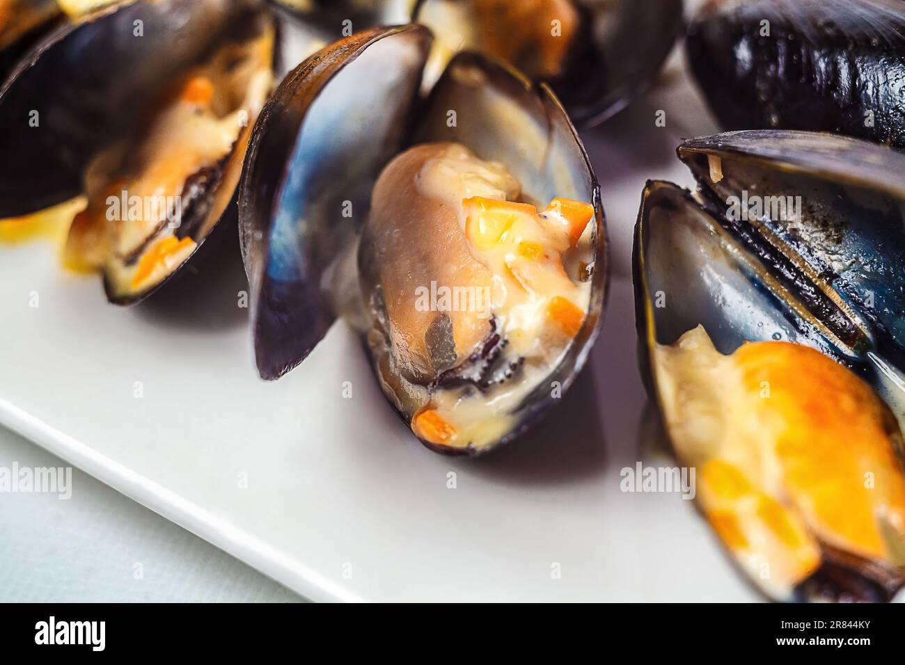 A close-up of a fresh mussel, providing an insight into the healthy ...