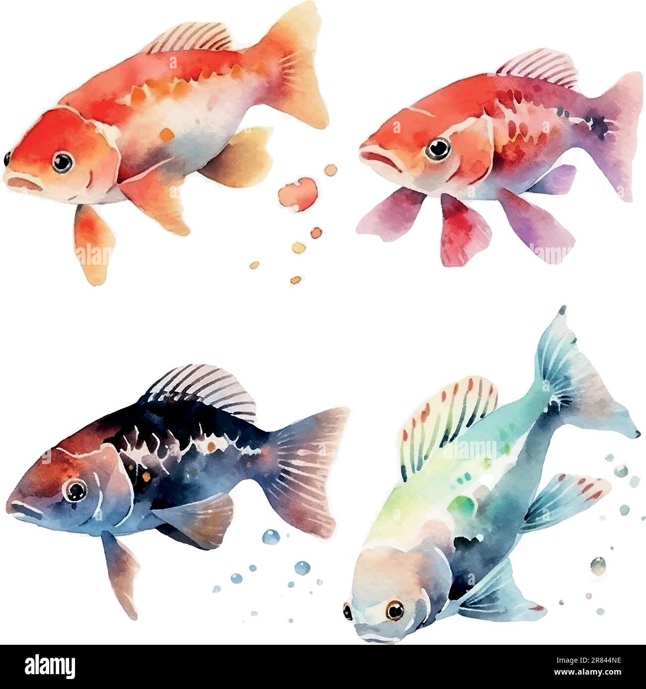 Beautiful fish watercolor, great design for any purposes. Vector ...