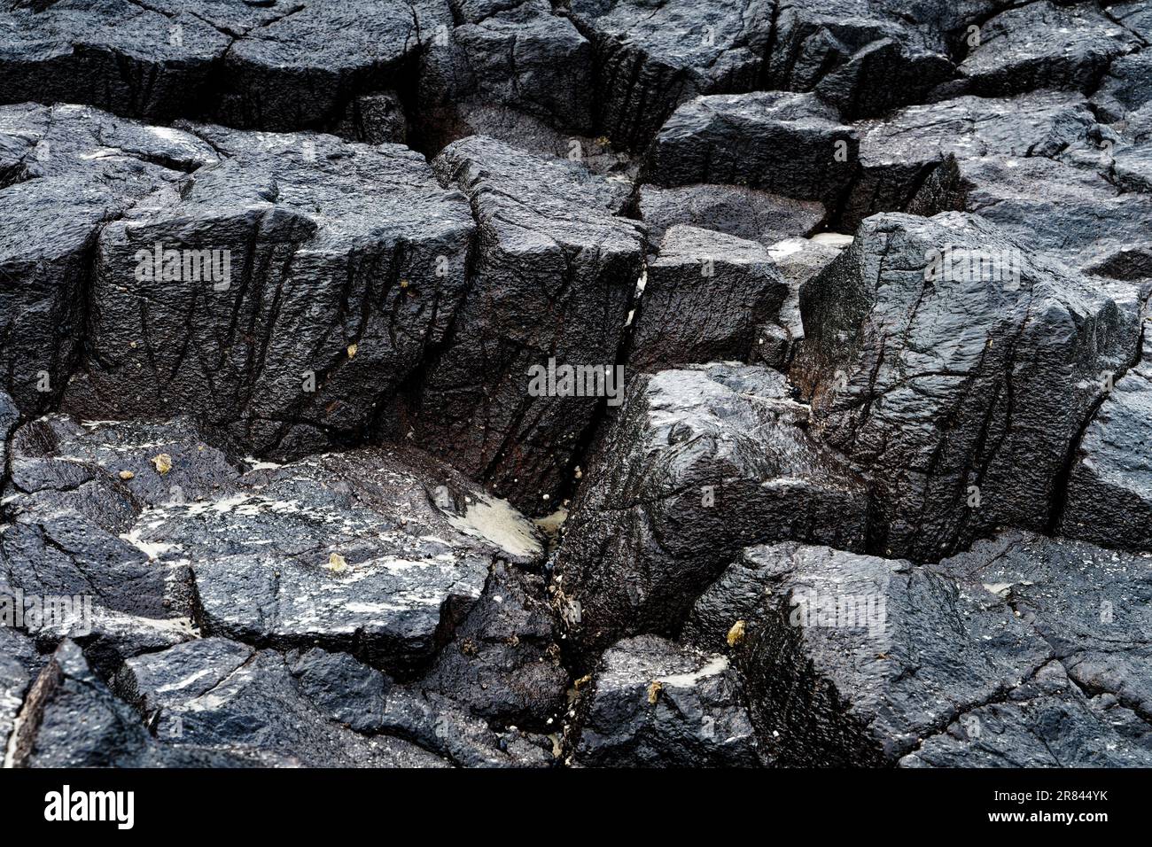 Columnar Basalt on Allans Beach, Otago Peninsula, Dunedin, south island ...