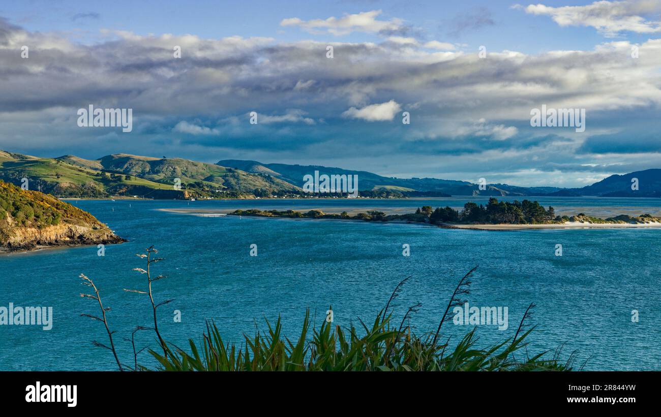 Looking down Otago harbour from Taiaroa Head / Pukekura end of the ...