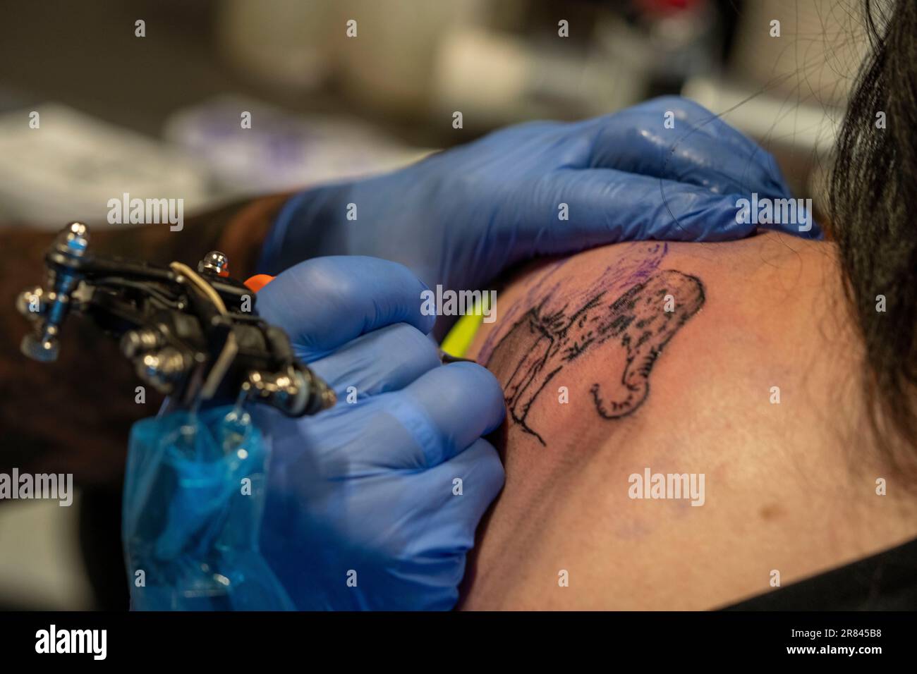 Henk Schiffmacher's needle whirrs as he tattoos the lines of am ...