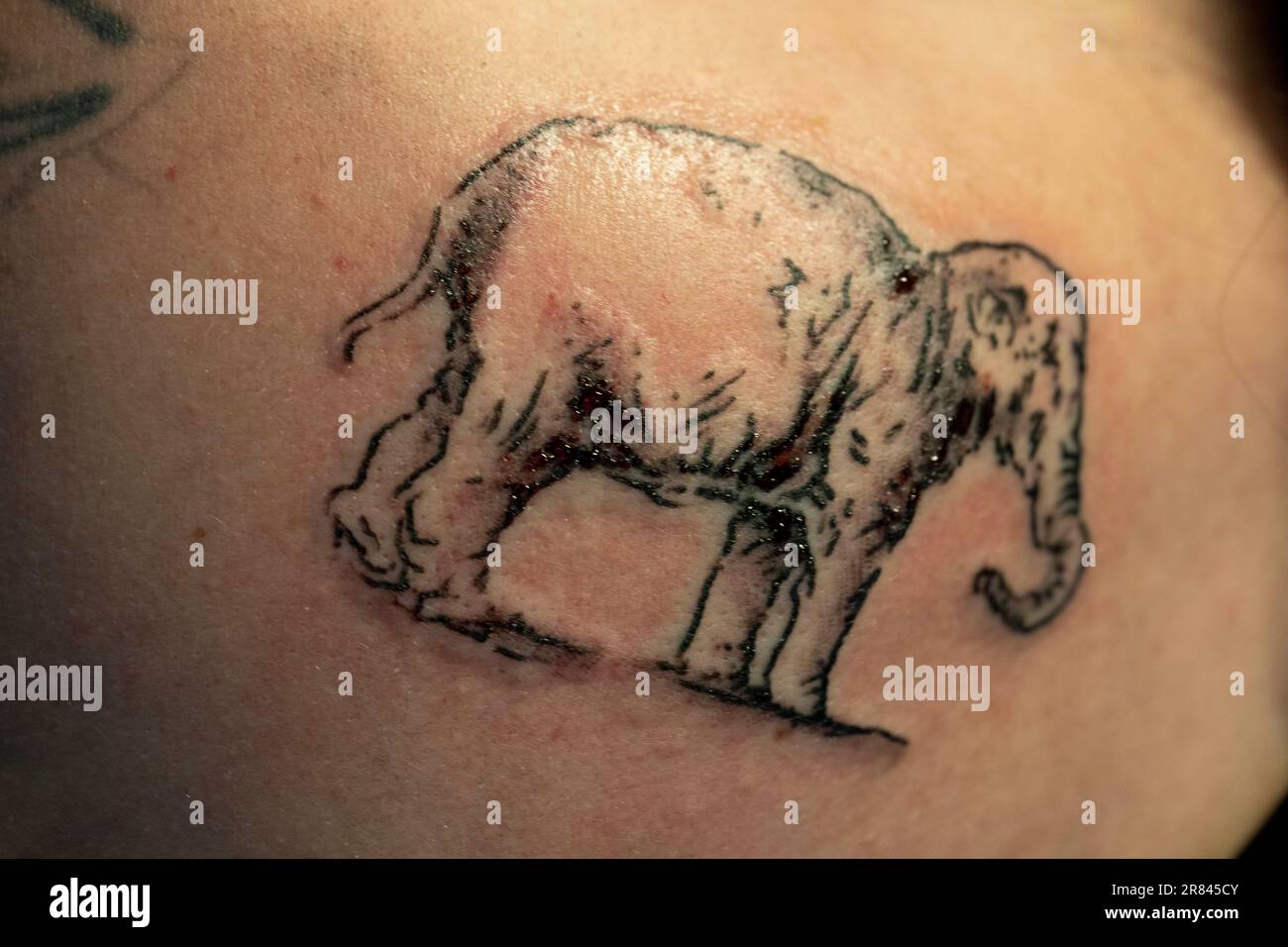 Henk Schiffmacher's needle whirred as he tattood the lines of am ...