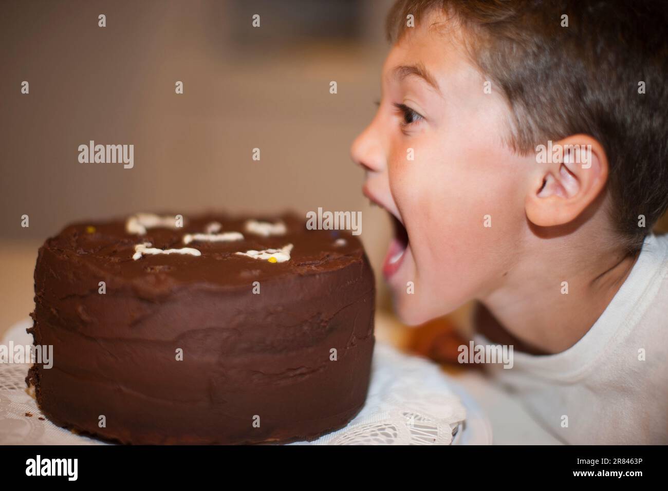 A little boy pretends to take a huge bite of an entire birthday cake ...
