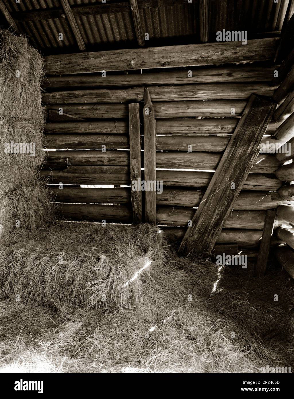 Square bails of hay inside of a barn in rural East Texas Stock Photo ...