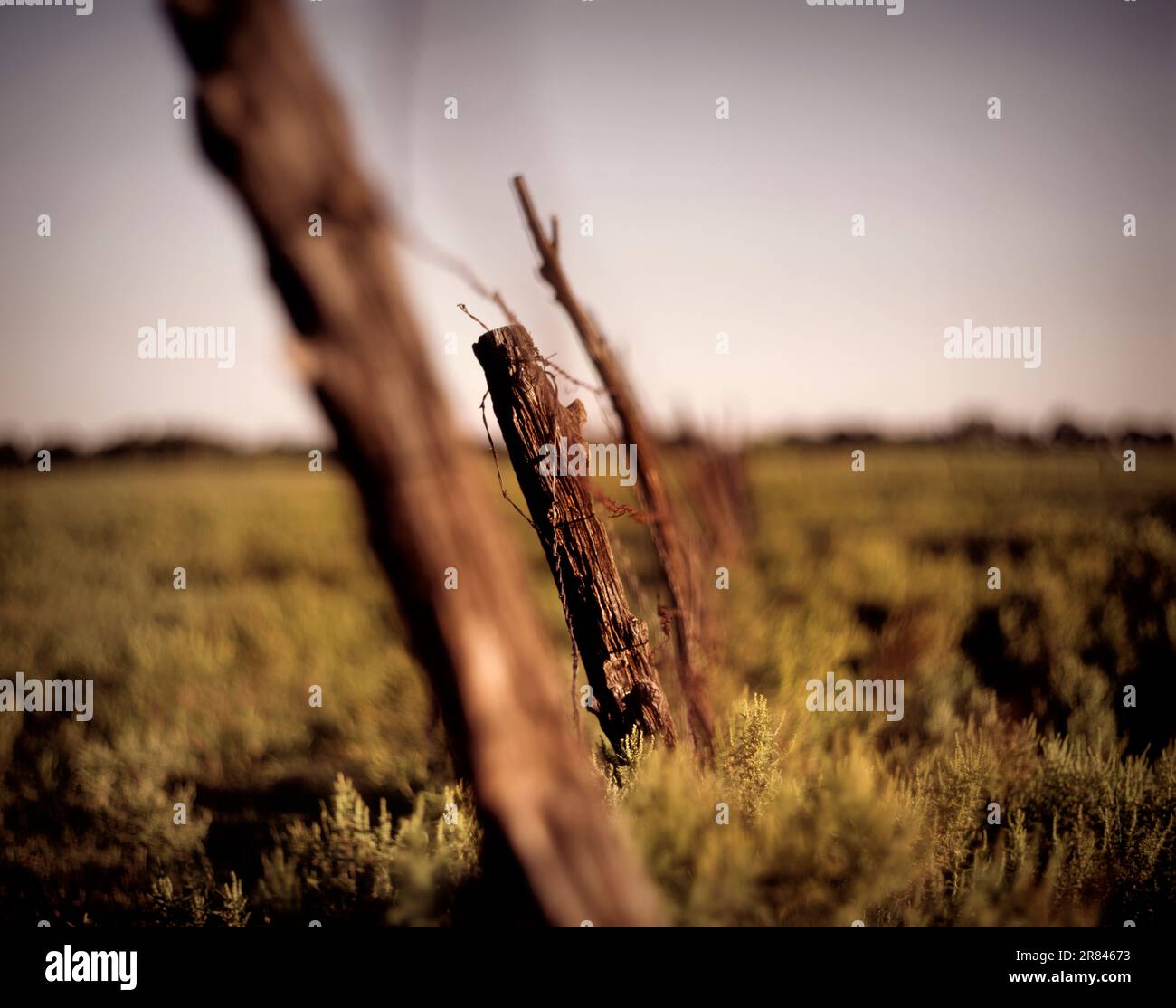 Cedar fence posts hi-res stock photography and images - Alamy