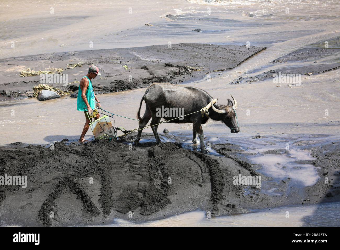 Filipino man clears the river stream bed overgrown with ashes from the ...