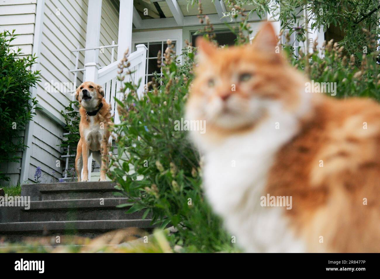 Phinney ridge seattle hi-res stock photography and images - Alamy