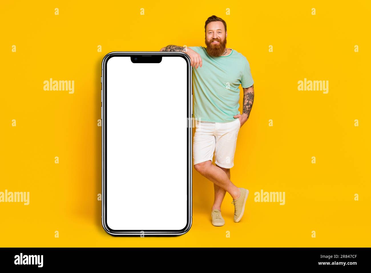 Full body cadre of gadget user red beard man promo interface new web ...