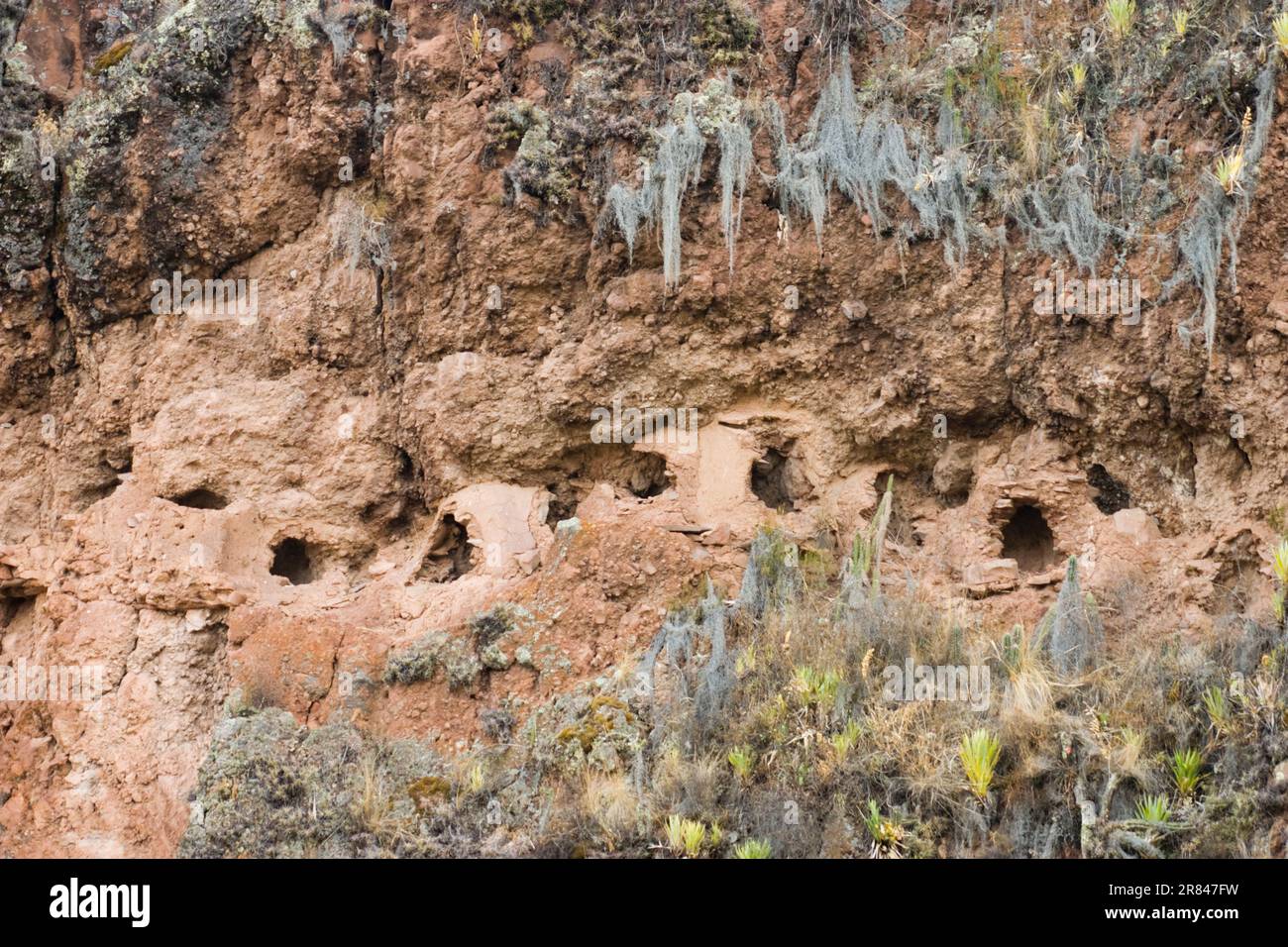 Ancient (pillaged) burial sites built into a steep cliff at the Inca ...
