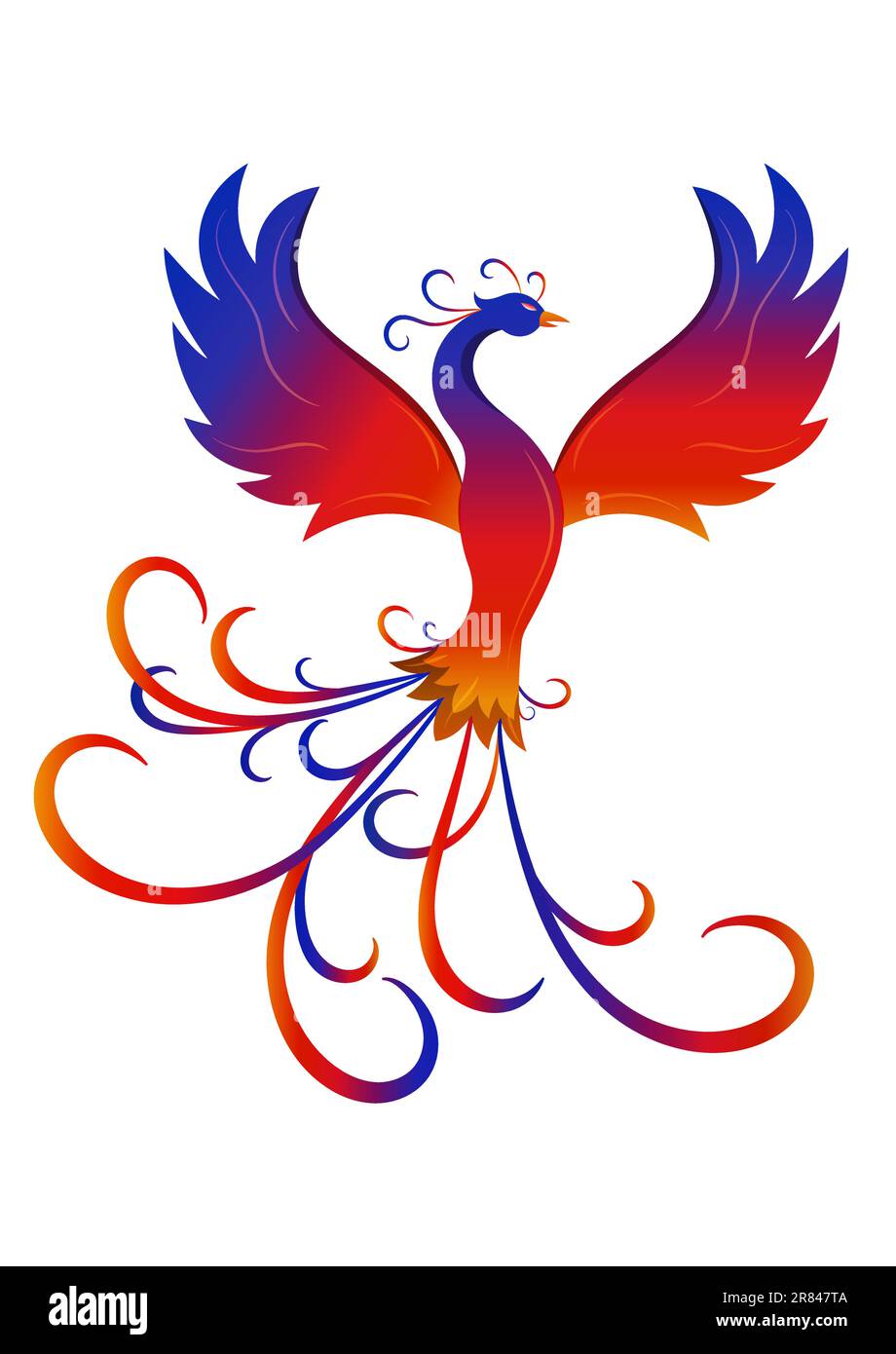 Phoenix vector vectors hi-res stock photography and images - Alamy
