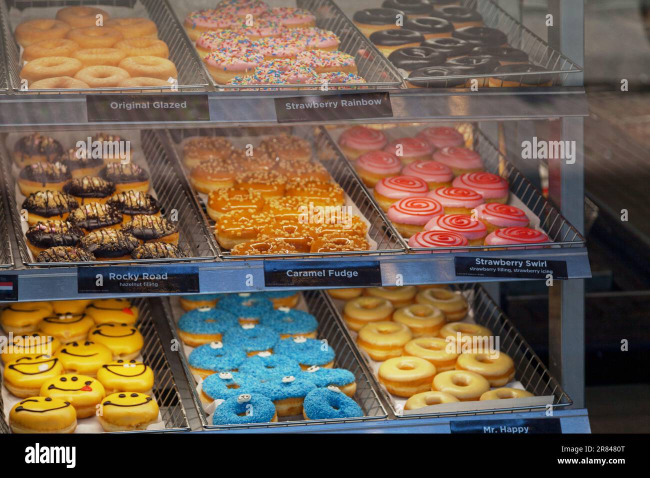 Variety of donuts on a tray in a display case in a bakery of Amsterdam ...
